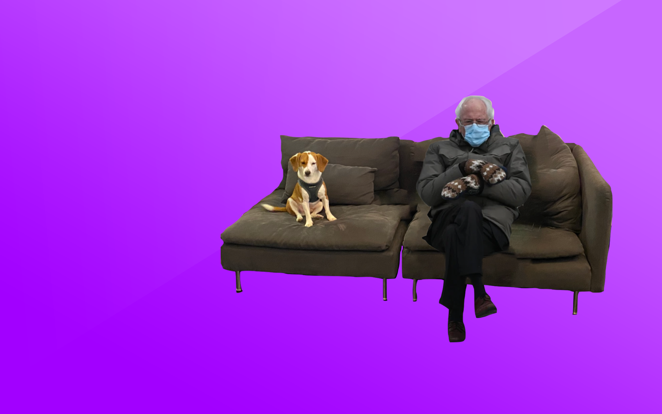 We Are Once Again Asking for More Memes of Bernie Sanders | 1000heads